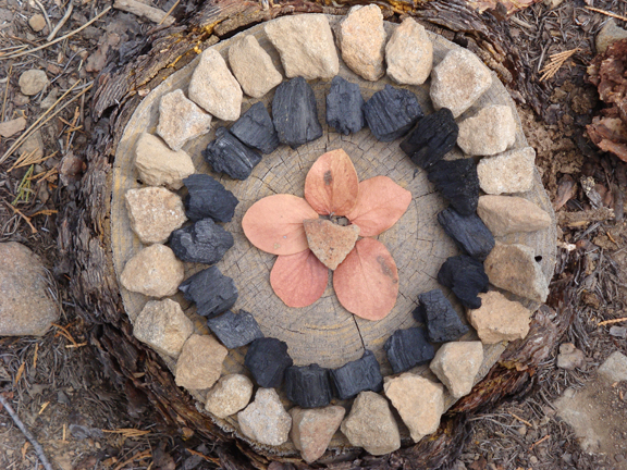 Nature Mandalas
