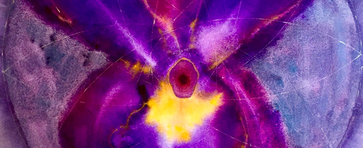 THE POWER OF PURPLE